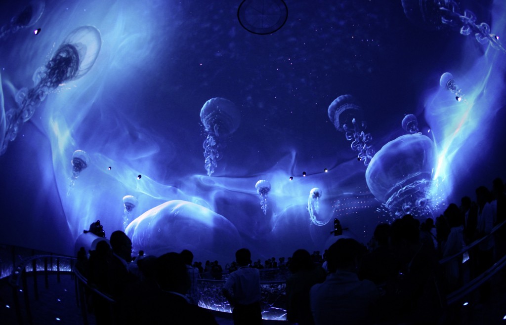 Brainsalt — Zeidler G